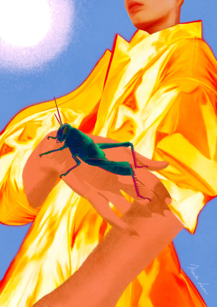 Maite Leon – Illustrations & art